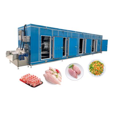 China Quick Freeze Machine Low Temperature Blast Freezer For Industrial 600kg/H Capacity for sale