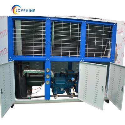China Quick Freeze Machine Low Temperature Blast Freezer For Industrial 600kg/H Capacity for sale