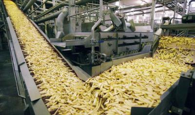 Cina Linea di produzione completamente automatica di patatine fritte e patatine fritte per uso industriale in vendita