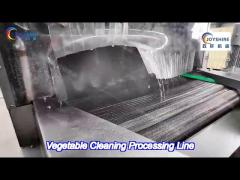 Bubble Washing And Air Drying Mushrooms Fruit And Vegetable Processing Line