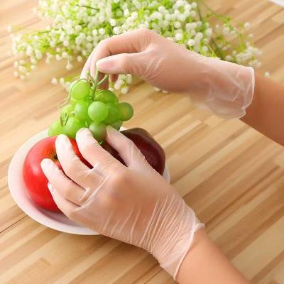 China Single- vinyl gloves crafted for food work supporting safe food handling procedures and maintaining cleanliness standards for sale