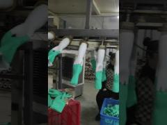 15 Mil de Groene van de Nitrilhandschoen Chemische bestand bijeengekomen voerings