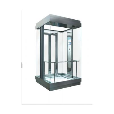 China High Quality Mirror Etched SS Spray Steel Plate Glass Indoor Residence Elevator For Villa for sale