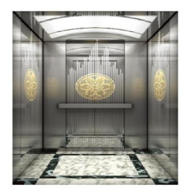 China Made In China Plastic Sprayed Steel Plate Residential Elevators Outdoor Lift Elevator for sale
