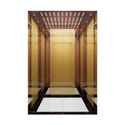 China Professional Manufacturer Hairline Stainless Steel Glass Luxuriating Lift Elevator For Apartment for sale