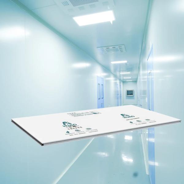 Quality Handmade Cleanroom Sandwich Panel Rock Wool Custom Color 80-120Kg/M3 Core for sale