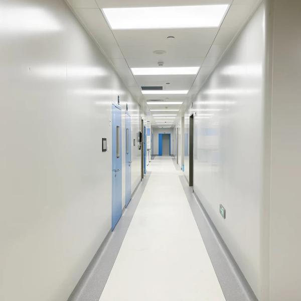 Quality Handmade Cleanroom Sandwich Panel Rock Wool Custom Color 80-120Kg/M3 Core for sale