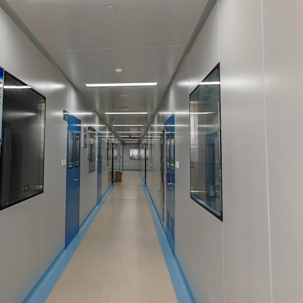 Quality Sound Insulation Glass Flush Clean Room Windows Anti Condensation Design for sale