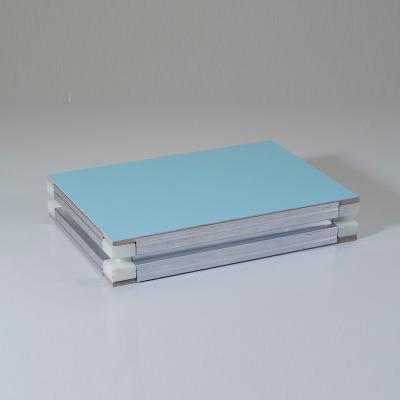 China Antibacterial Fireproof Handmade Cleanroom Sandwich Panel Medical Purification Panel for sale