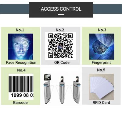 Cina Portone Recognitive facciale bidirezionale del cancello girevole di acciaio inossidabile 304 per pubblico in vendita