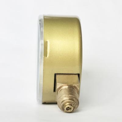 Cina manometro pratico d'ottone dorato di Internals del manometro delle pompe e dei compressori di Antivari del caso 16 di 63mm in vendita