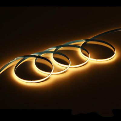 China Cabinet LED Strip Light RGB 480 LEDs/M 5M Flexible LED Strip Light For Display Lighting for sale