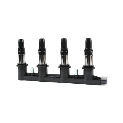 Cina OEM delle parti di Chevy Cruze Ignition Coil Car 55584745 componenti del motore di dimensione standard in vendita