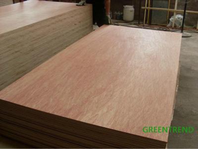 China Bintangor faced commercial plywood in 1220x2440mm for sale