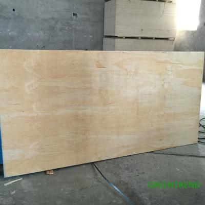 China Pine  faced commercial plywood used for construction in 1220x2440mm for sale