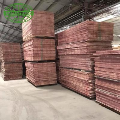 China High Quality Astralian Standard Plywood for sale