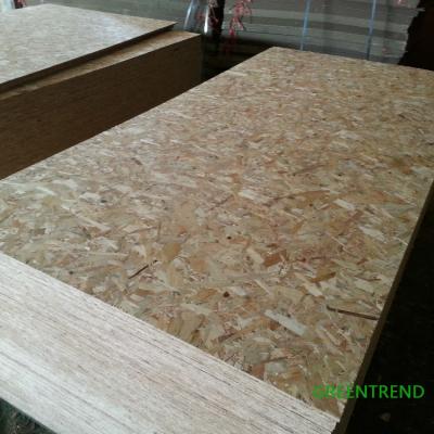 China 1220X2440mm OSB Board / WBP Glue OSB/ 18mm OSB for sale