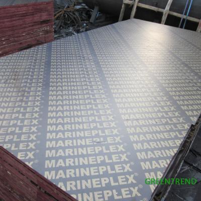 China /12mm/15mm/18mm 1220mm*2440mm Marine Plywood/Film Faced Plywood for sale