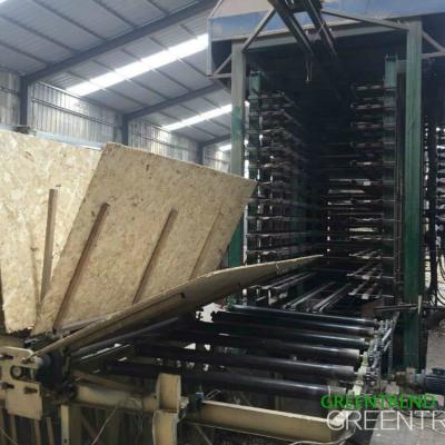 China OSB plate used for roofing panel to Peru for sale