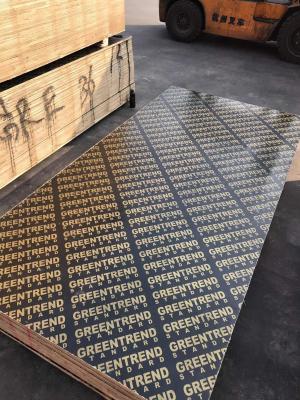 China 18mm black film faced plywood from  Greentrend for sale