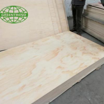 China Pine plywood used for furniture in 1220x2440mmm From Greentrend for sale