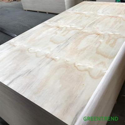 China Pine plywood used for construction in  size of 1220x2440mm for sale