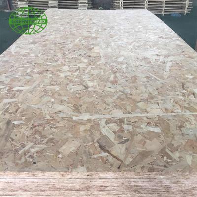 China Chinese 9mm 12mm 15mm 18mm OSB 3 for Chile Market for sale