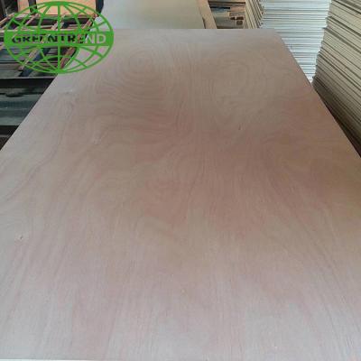 China Okoume faced commercial plywood in 1220x2440mm for sale