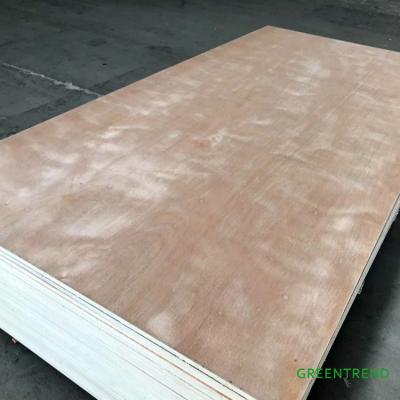 China Okoume faced commercial plywood in 1220x2440mm for sale