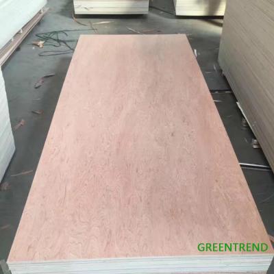 China Bintangor faced commercial plywood in 1220x2440mm for sale