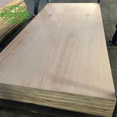 China Pencil Cedar faced commercial plywood in 1220x2440mm for sale
