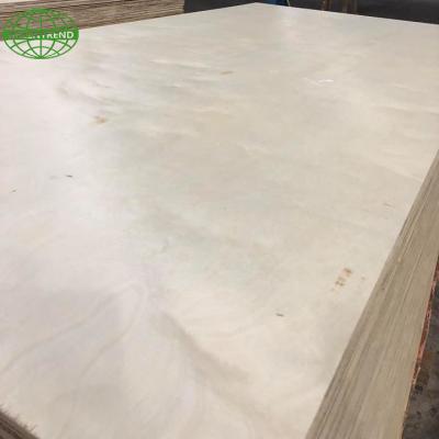 China Birch faced commercial plywood in 1220x2440mm for sale