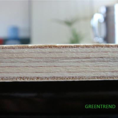 China Poplar veneer face commercial plywood in 1220x2440mm for sale