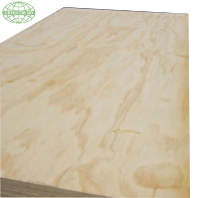 China Pine veneer commercial plywood external plywood sheets for sale