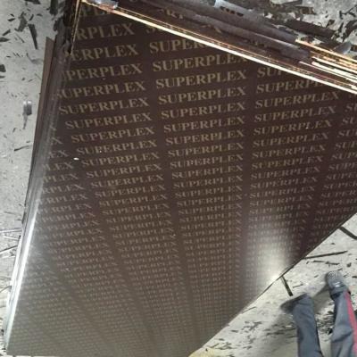 China Construction use 18mm marine grade plywood phenolic coated plywood for sale