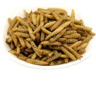 China Discover Dried BSF Larvae from Wide Availability for sale