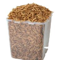 China Powder Form Dried Mealworms Ideal for Feed Additive Application for sale