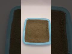 Black soldier fly defatted protein powder