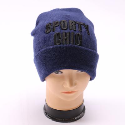 China Custom LOGO 3D embrodery blue color beanies for sale