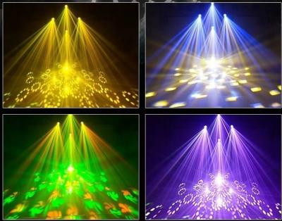 Cina Robusta dinamica 300W IP65 DMX Beam Moving Head Light Perfetto per eventi all'aperto in vendita