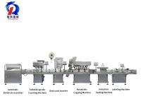 China 24 Channel Automatic Tablet Capsule Counting Bottling Production Line for sale