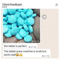 China Rotary Pill Press Tablet Press Machine Zp17 Automatic Lab Scale for sale