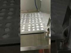 Dpp260s Servo Motor Small Blister Packaging Machine , Small Blister Pack Machine