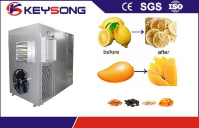 Cina Essiccatore industriale della pompa di calore del disidratatore per le verdure frutta e carne in vendita