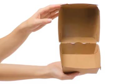 China Customized Different Shape Corrugated Disposable Food Packaging Eco-Friendly Hamburger Boxes Bulk for sale