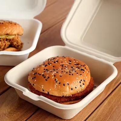 China Großhandel Biologisch abbaubare Muschelschalen mit Zuckerrohr-Bagasse für Pommes zu verkaufen