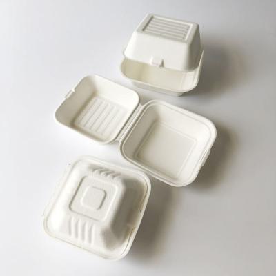 Cina Scatola di hamburger per fast food ecologica con guscio di vongole biodegradabile in vendita