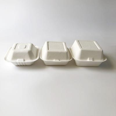 Cina Scatola di hamburger per fast food ecologica con guscio di vongole biodegradabile in vendita