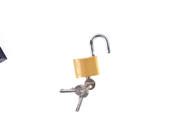 Rarlux padlock security features