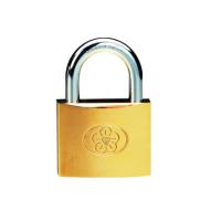 Quality Rarlux 20 25 32 38 50 63 75mm Hot Selling Solid Padlock Top Security Super for sale